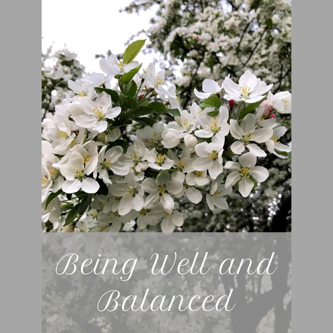 The Meaning Behind: Being Well and Balanced | Being Well & Balanced